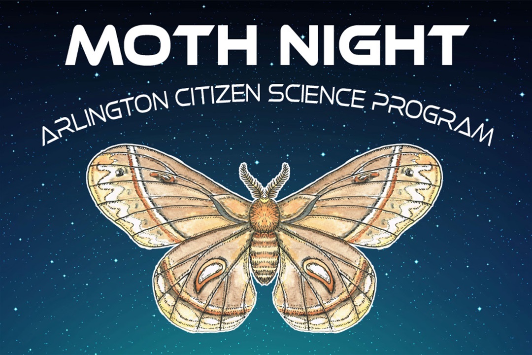 Moth Night Set for July 23, 2025, at Webb Community Park | City of ...